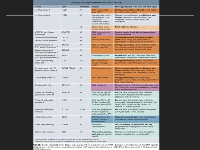 Biology of the ExtraCellular Matrix - Functions of the ECM, Components ...