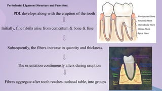 BIOLOGY OF TOOTH MOVEMENT orthodontics.pptx