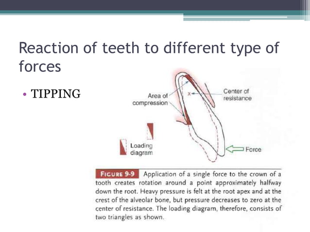 Biology of tooth movement | PPTX