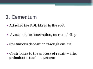 Biology of tooth movement | PPTX