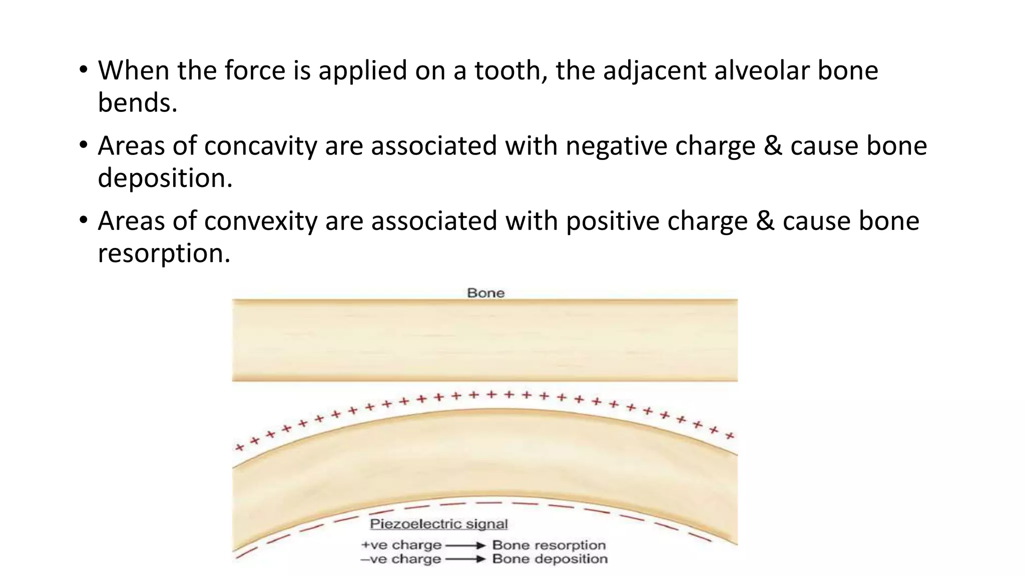 Biology of tooth movement.pptx