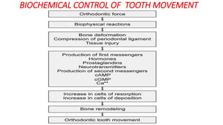 Biology of tooth movement.pptx