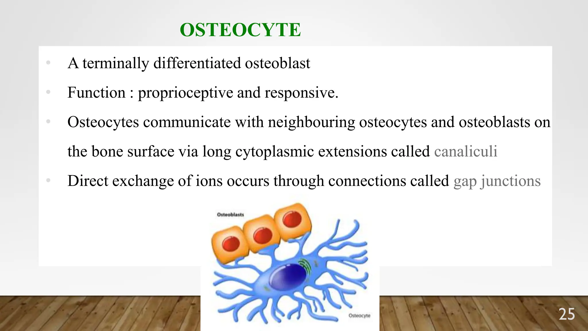 BIOLOGY OF TOOTH MOVEMENT IN ORTHODONTICS | PPTX