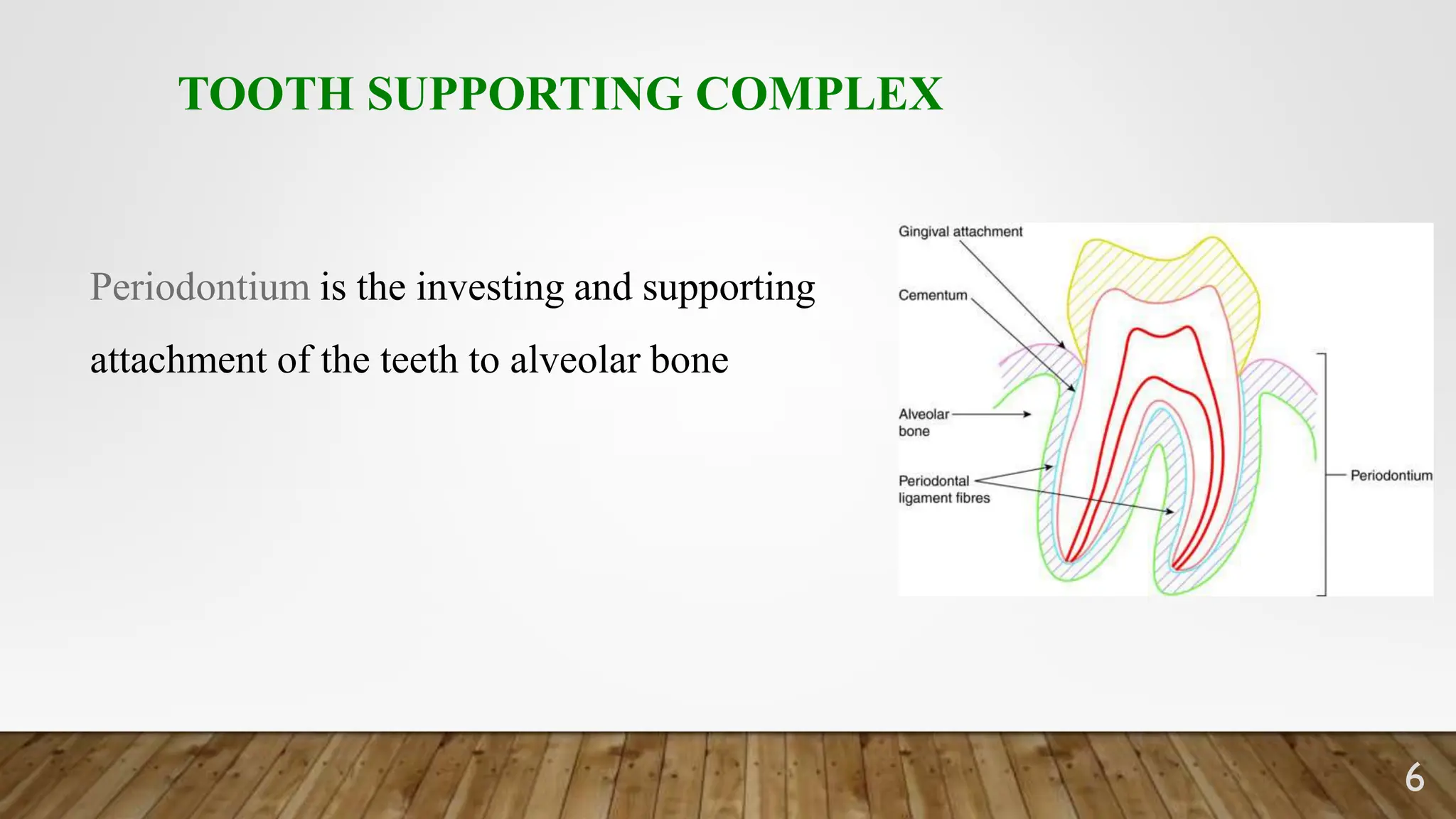 BIOLOGY OF TOOTH MOVEMENT IN ORTHODONTICS | PPTX