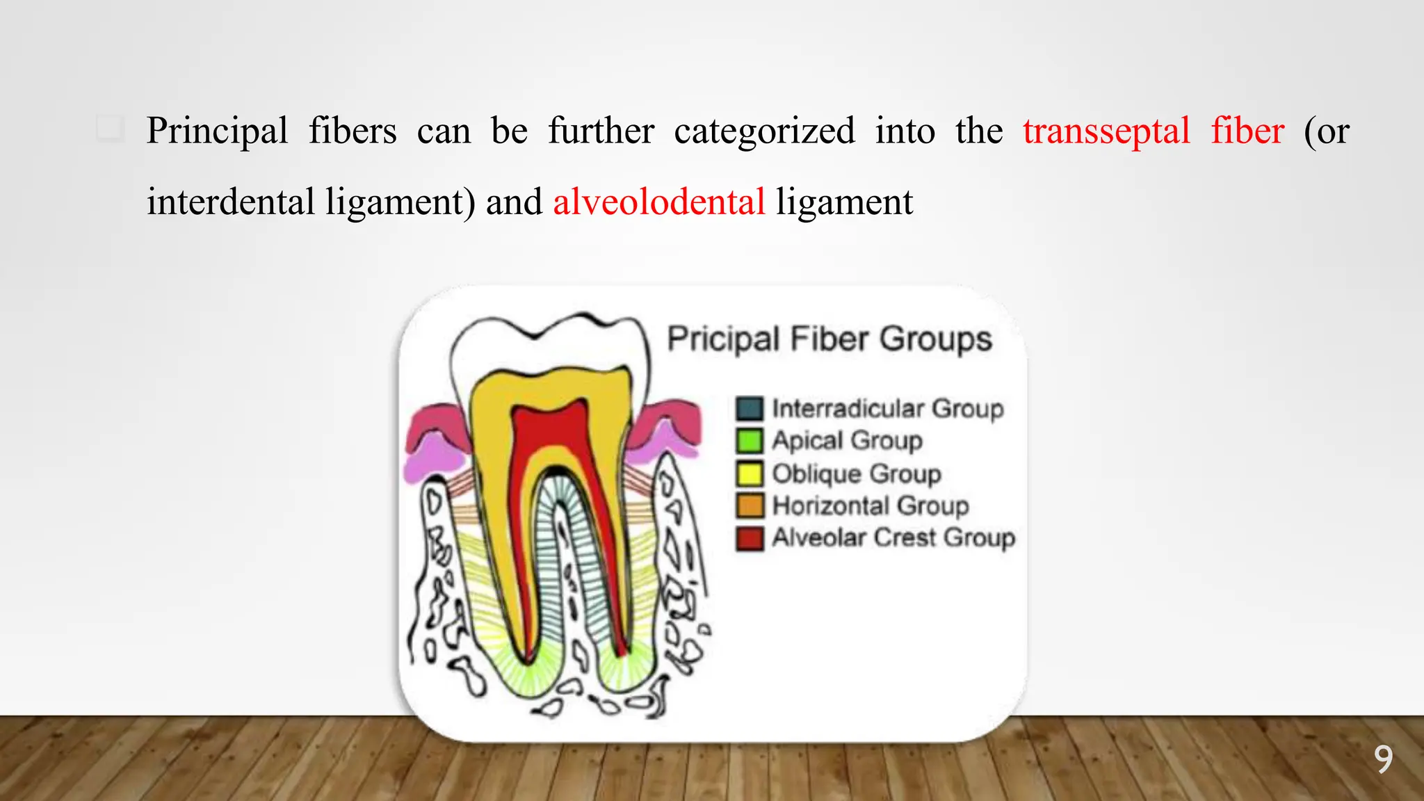 BIOLOGY OF TOOTH MOVEMENT IN ORTHODONTICS | PPTX