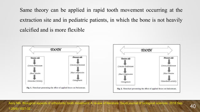 BIOLOGY OF TOOTH MOVEMENT IN ORTHODONTICS | PPTX | Dental Health ...