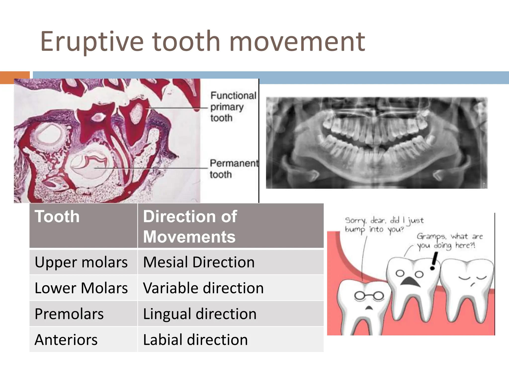 biology of tooth movement (1).pptx
