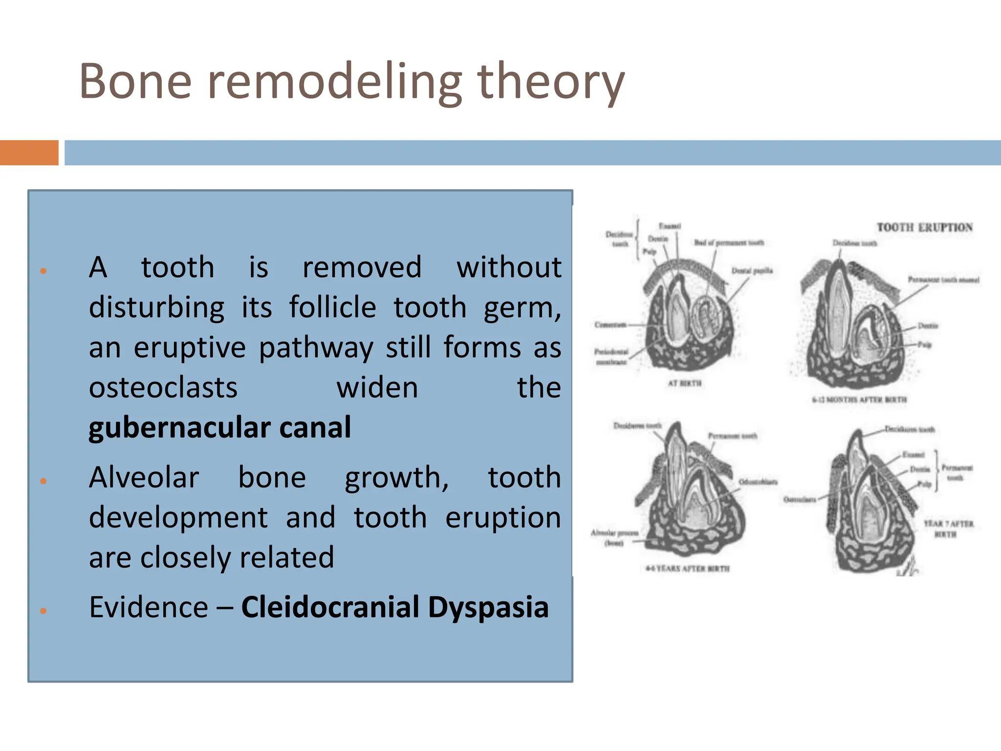 biology of tooth movement (1).pptx