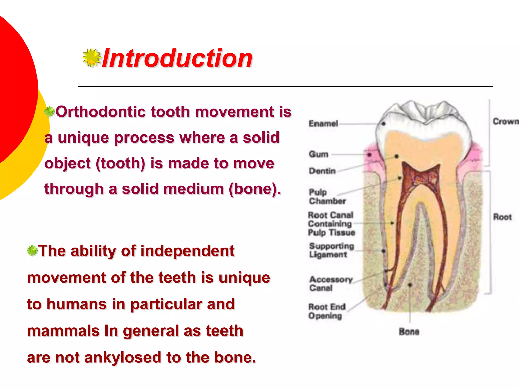 Biology of orthodontic tooth movement | PPT