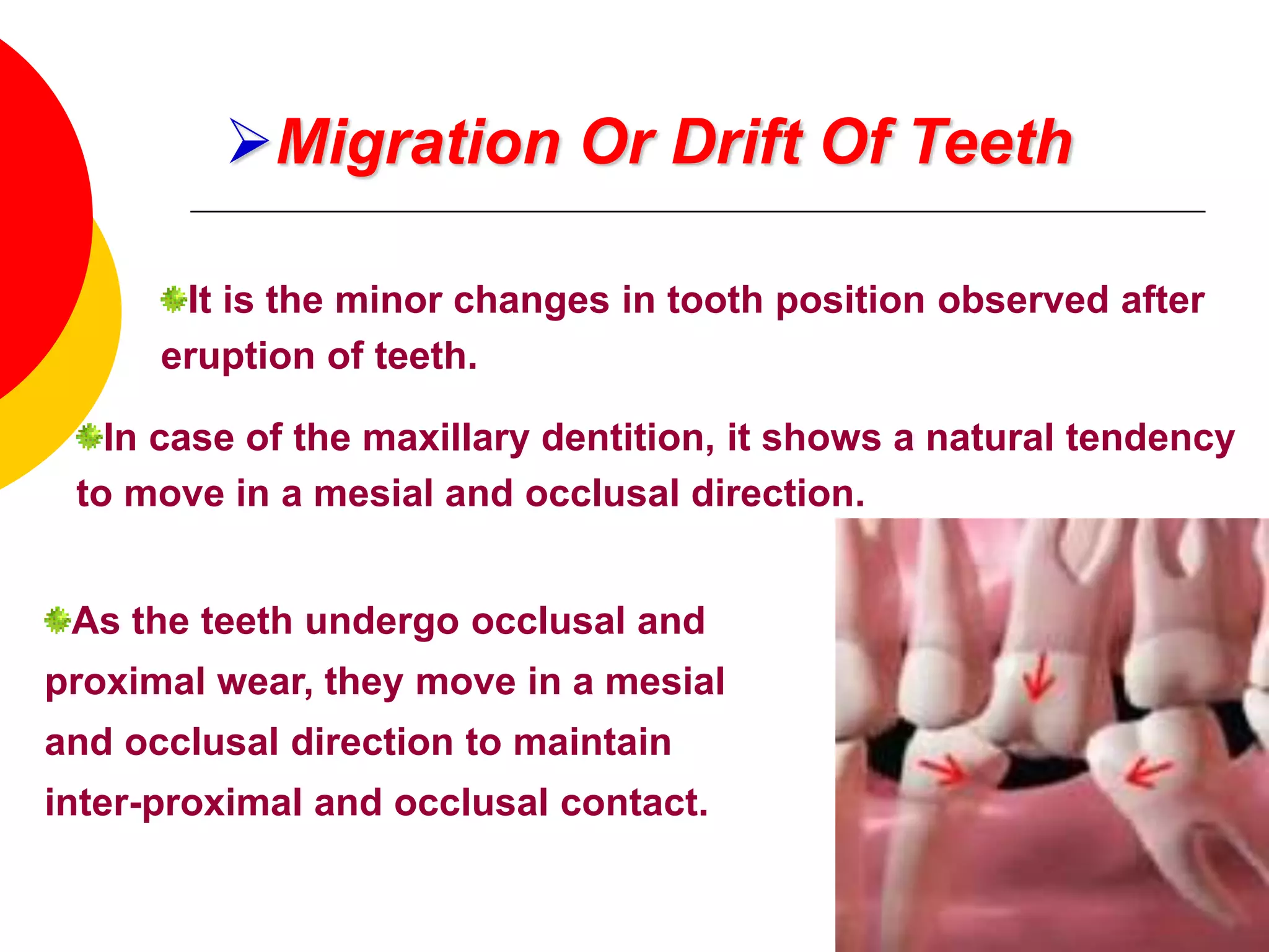 Biology of orthodontic tooth movement | PPT