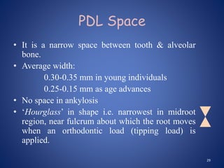 Biology of tooth movement | PPTX