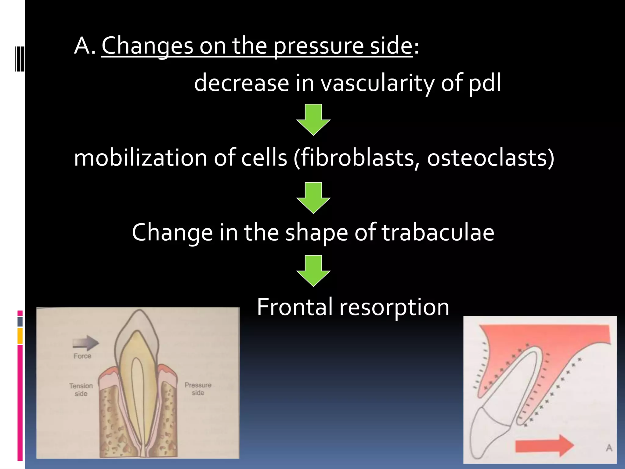 Biology of tooth movement O.ppt