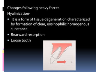 Biology of tooth movement O.ppt | Dental Health | Diseases and Conditions