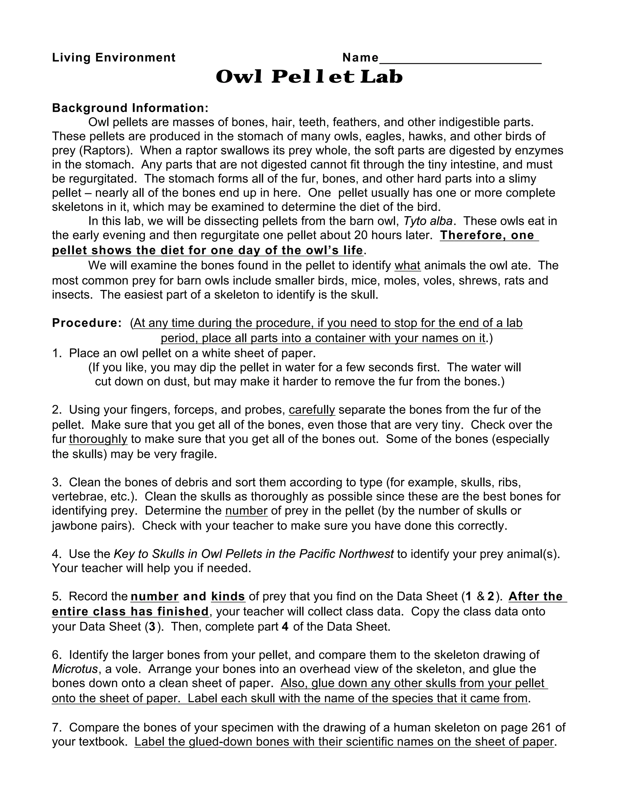 Biology owl pellet lab | PDF