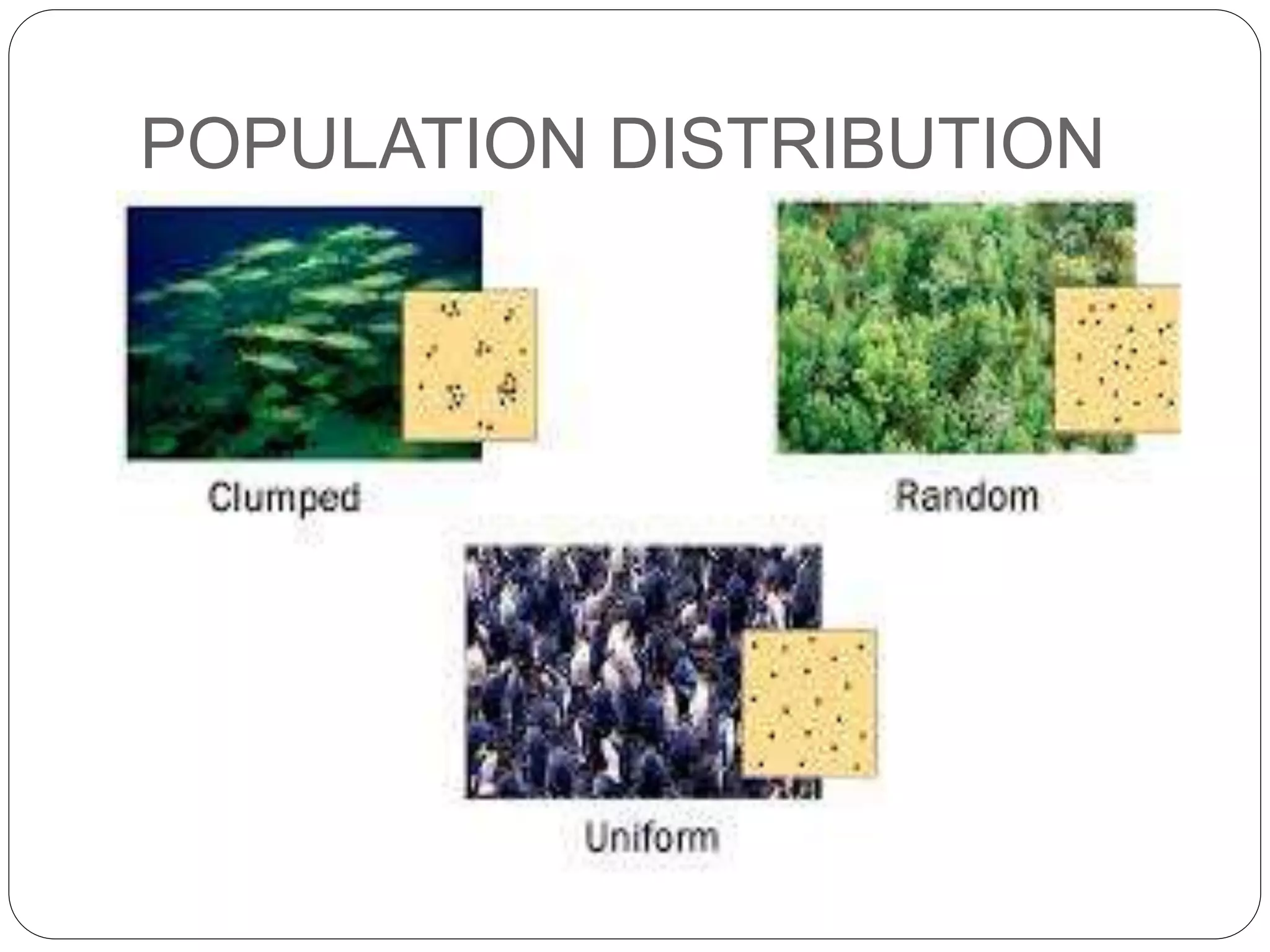 Biology (pattern distribution of organisms | PPTX