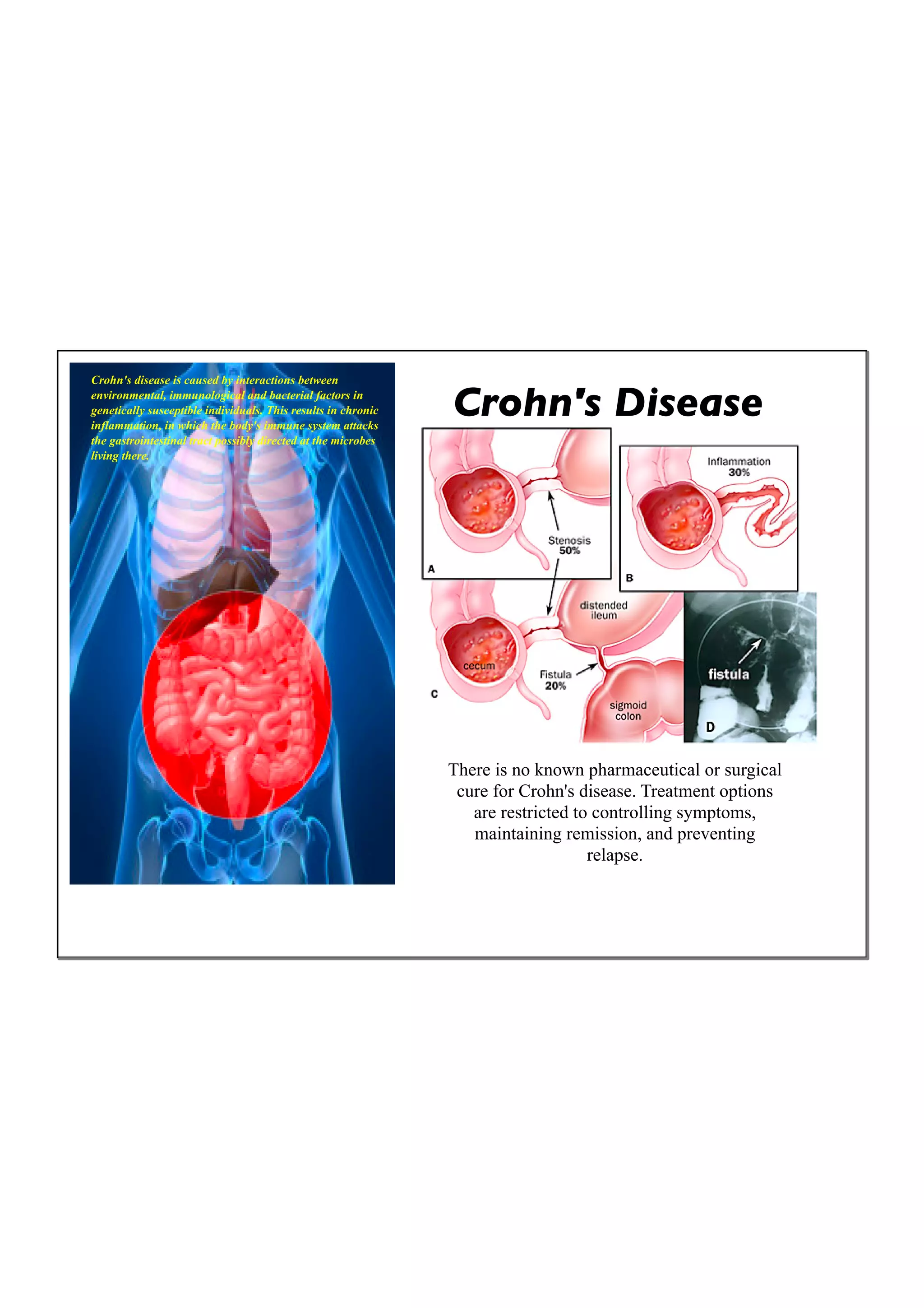 Biology pbl exemplar | PDF