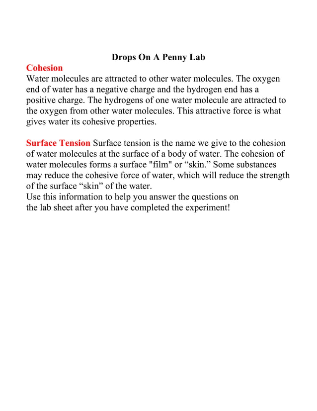 BIOLOGY PENNY LAB | DOC | Chemistry | Science
