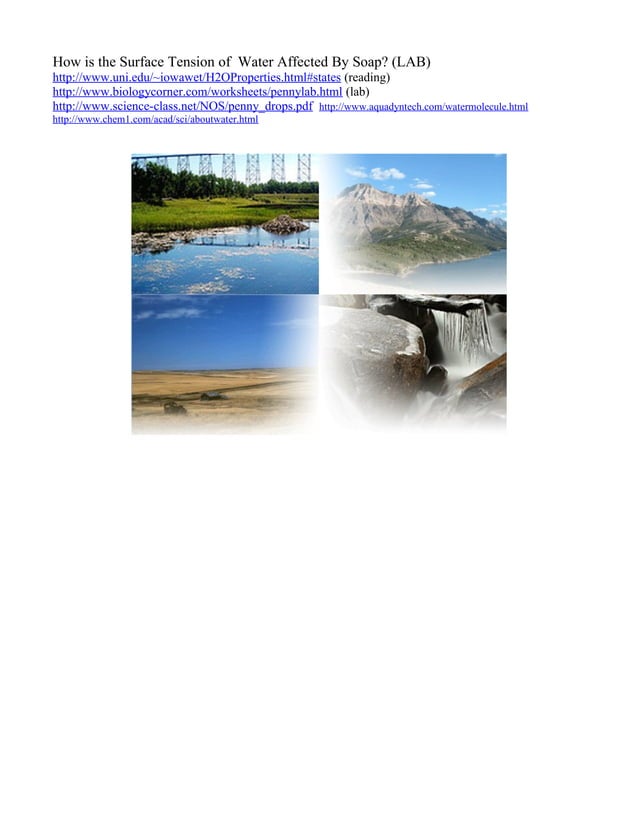 BIOLOGY PENNY LAB | DOC | Chemistry | Science