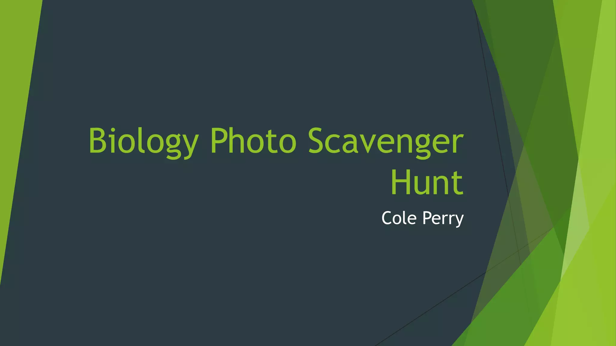 Biology photo scavenger hunt | PPTX | Biological Sciences | Science