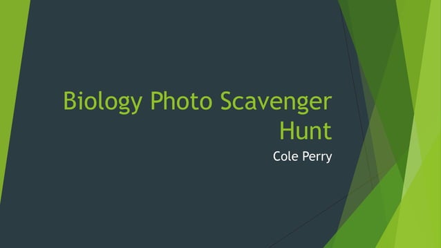 Biology photo scavenger hunt | PPTX | Biological Sciences | Science