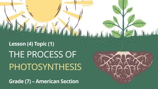 Biology Photosynthesis for grade (7) very important | PPTX