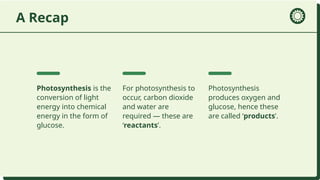 Biology Photosynthesis for grade (7) very important | PPTX
