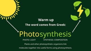 Biology Photosynthesis for grade (7) very important | PPTX