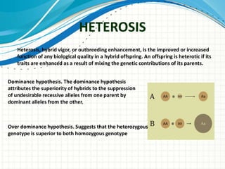 biology plants.pptx