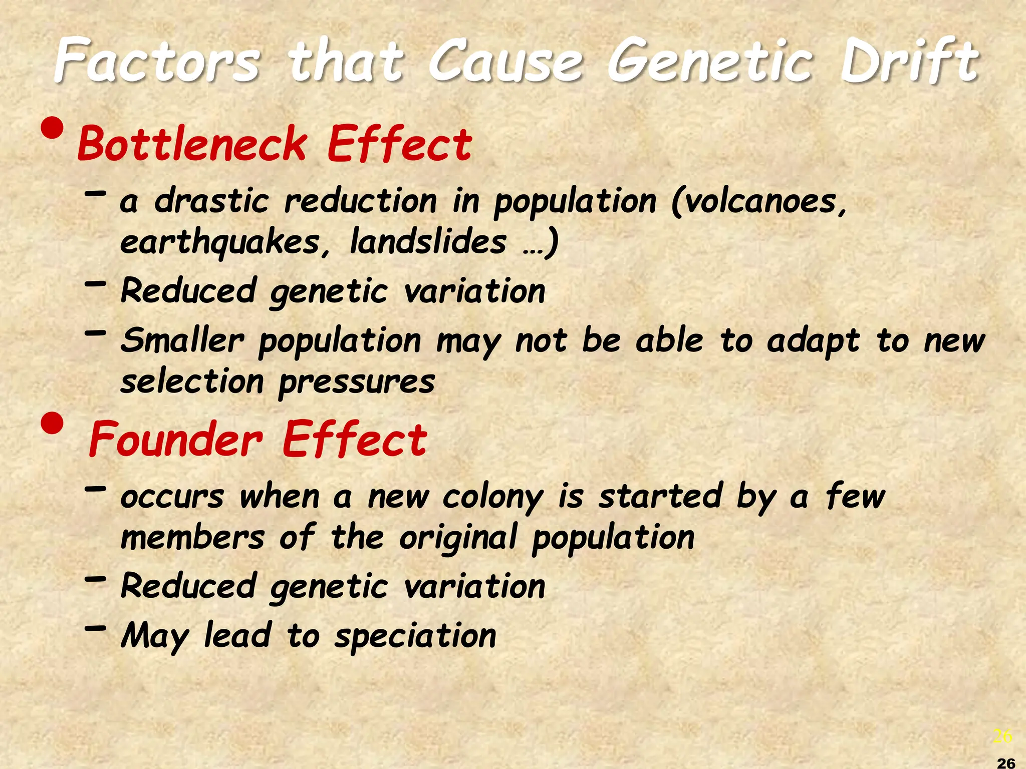 biology population genetics chapter 17.ppt
