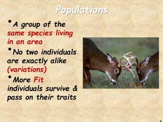 biology population genetics chapter 17.ppt