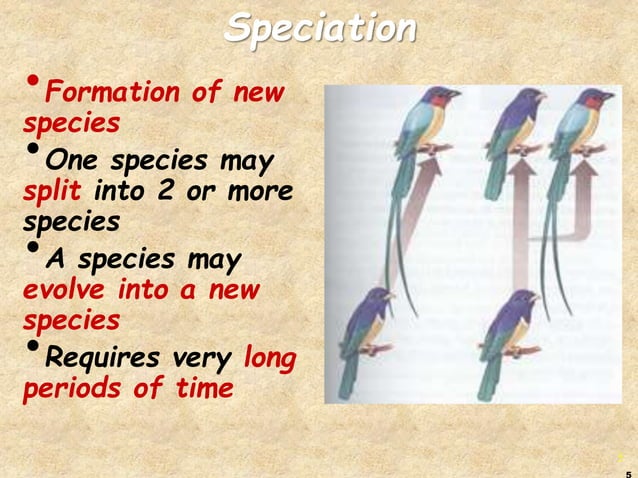 biology population genetics chapter 17.ppt