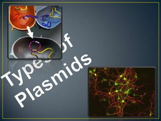 Biology powerpoint | PPTX