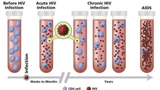 HIV(Human Immunodifficiency Viruses) A-LEVEL Biology PowerPoint | PPTX