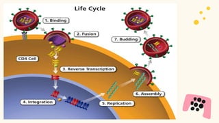 HIV(Human Immunodifficiency Viruses) A-LEVEL Biology PowerPoint | PPTX