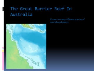 Biology Powerpoint Coral Reef | PDF