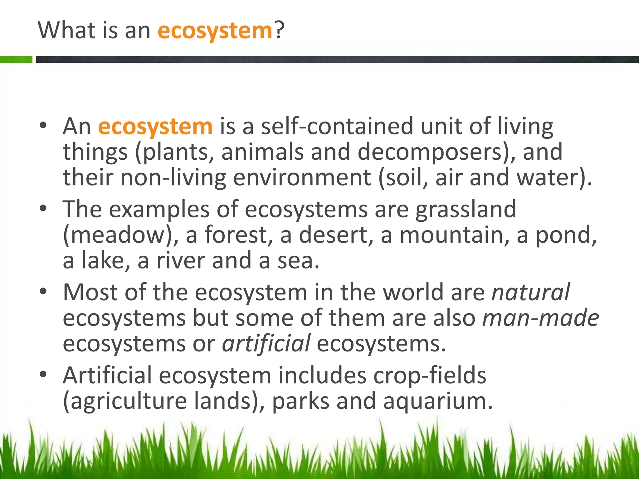 Our Environment | PPTX