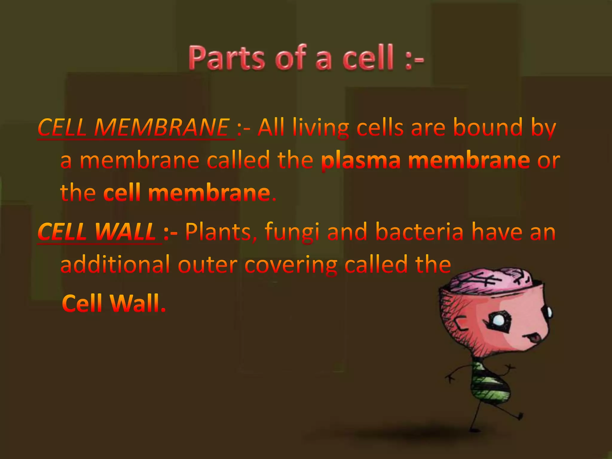 The Cell - It's Structure And Functions | PPT