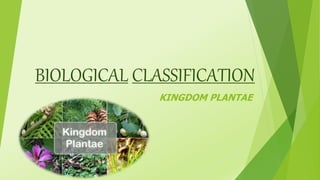 Plant Kingdom | PPTX