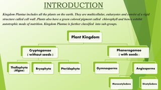 Plant Kingdom | PPTX