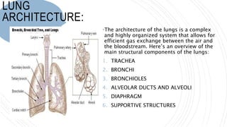 biology ppthjkmnabhikkknnnbbhiaiooknbbvvv | PPT