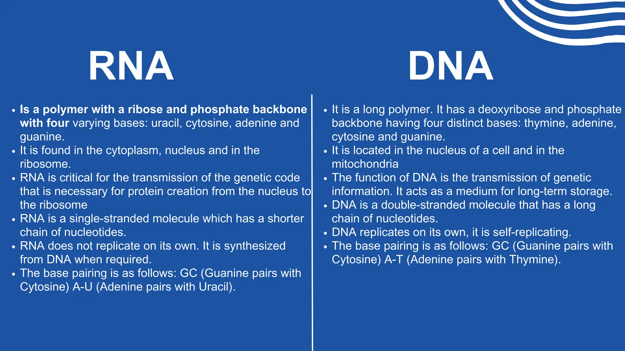 Biology PPT on RNA AND DNA free to download | PDF
