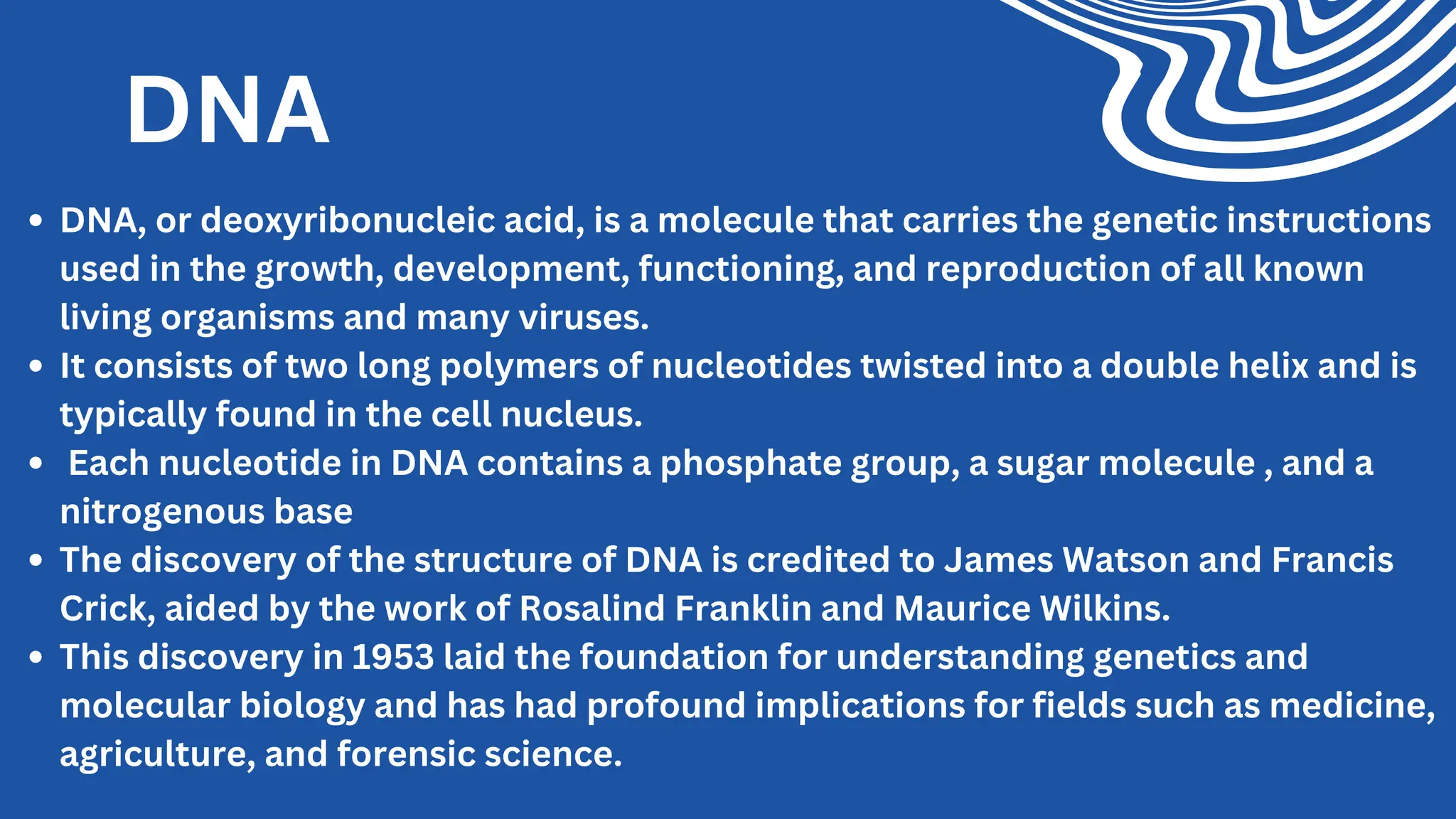Biology PPT on RNA AND DNA free to download | PDF