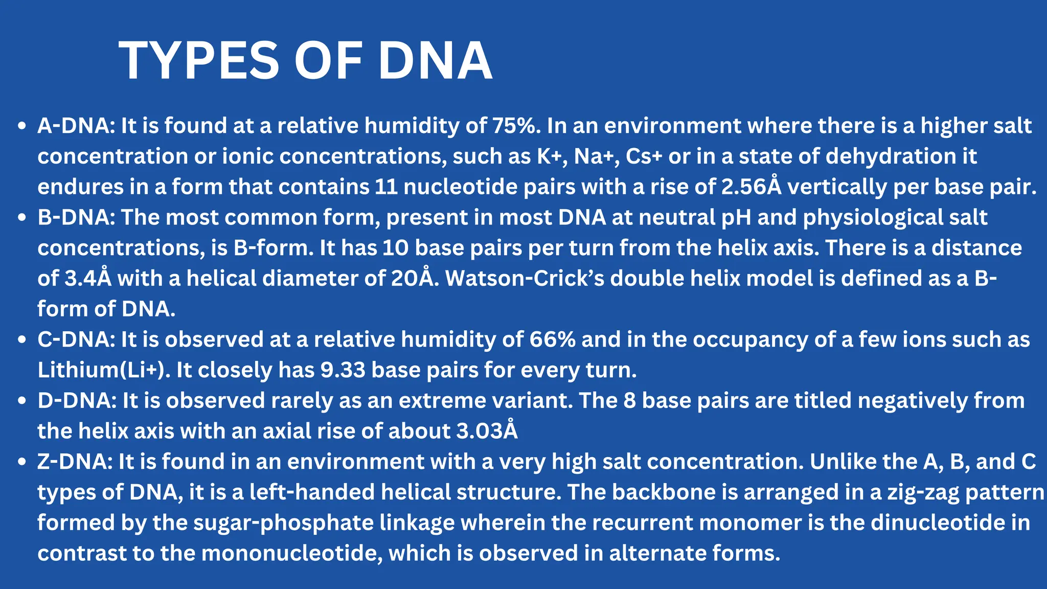 Biology PPT on RNA AND DNA free to download | PDF
