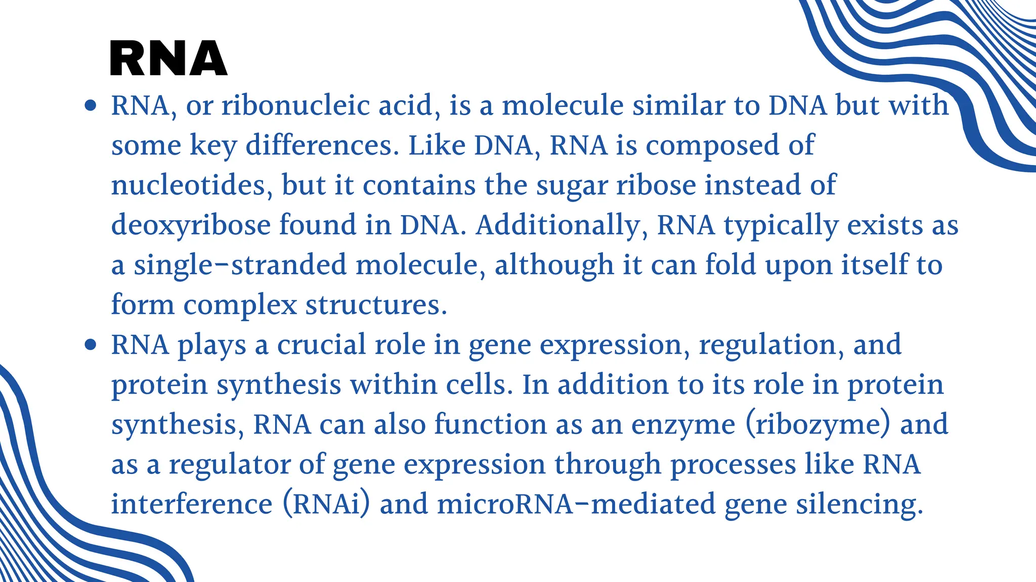 Biology PPT on RNA AND DNA free to download | PDF