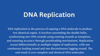 Biology PPT on RNA AND DNA free to download | PDF