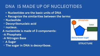 Biology PPT on RNA AND DNA free to download | PDF