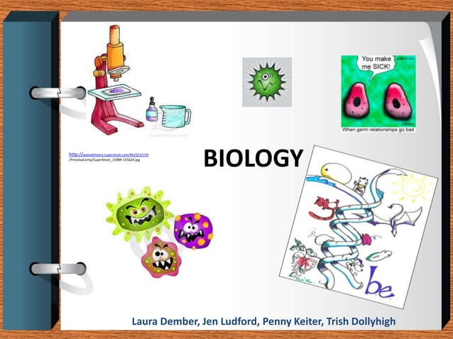 Biology ppt 6 3 | PPTX | Biological Sciences | Science