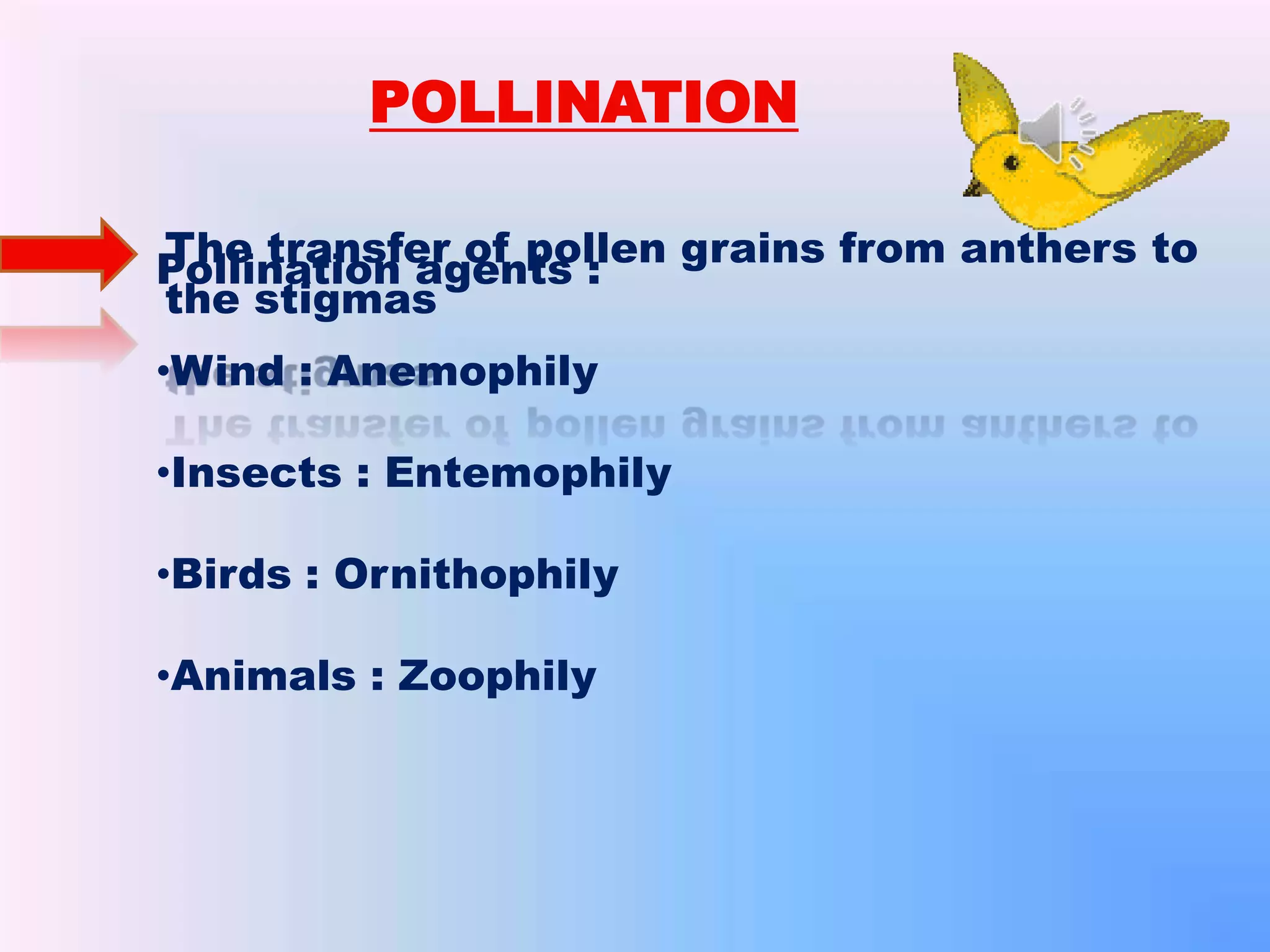 Reproduction in flowering plants (sexual reproduction) | PPSX