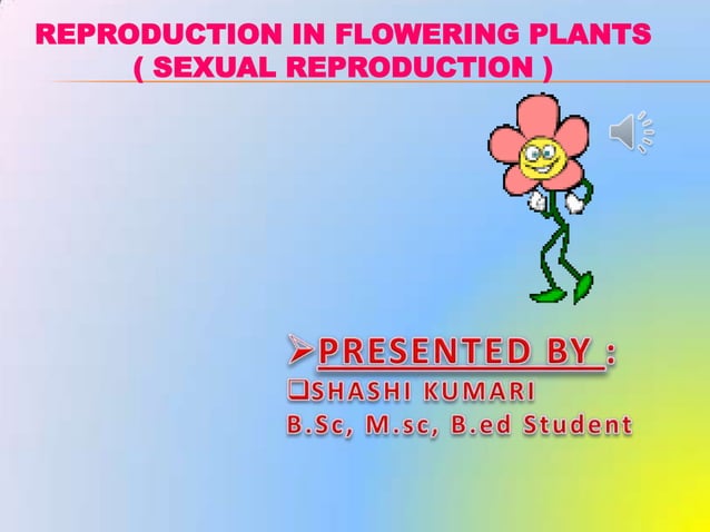 Reproduction in flowering plants (sexual reproduction) | PPSX ...