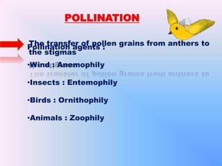 Reproduction in flowering plants (sexual reproduction) | PPSX